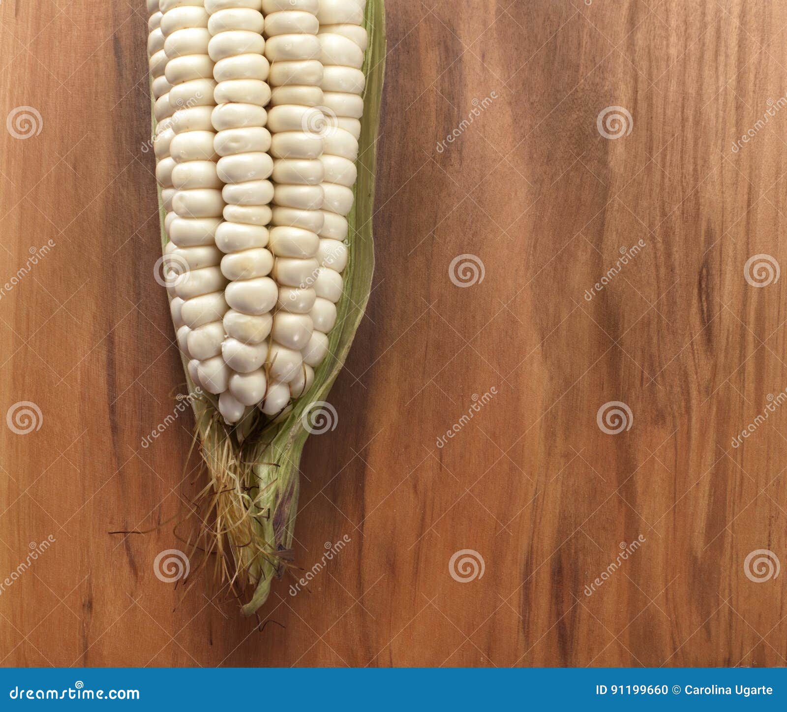 Choclo, Giant White Corn Stock Photography | CartoonDealer.com #26384960