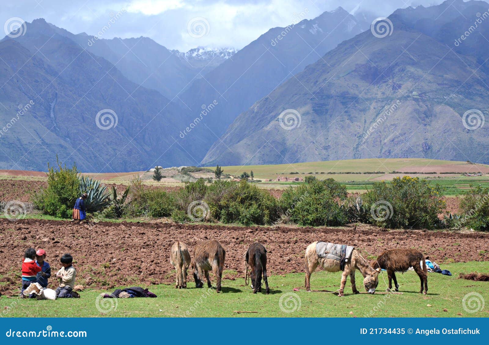 Peruvian Farmers editorial image. Image of peruvian, horses - 21734435