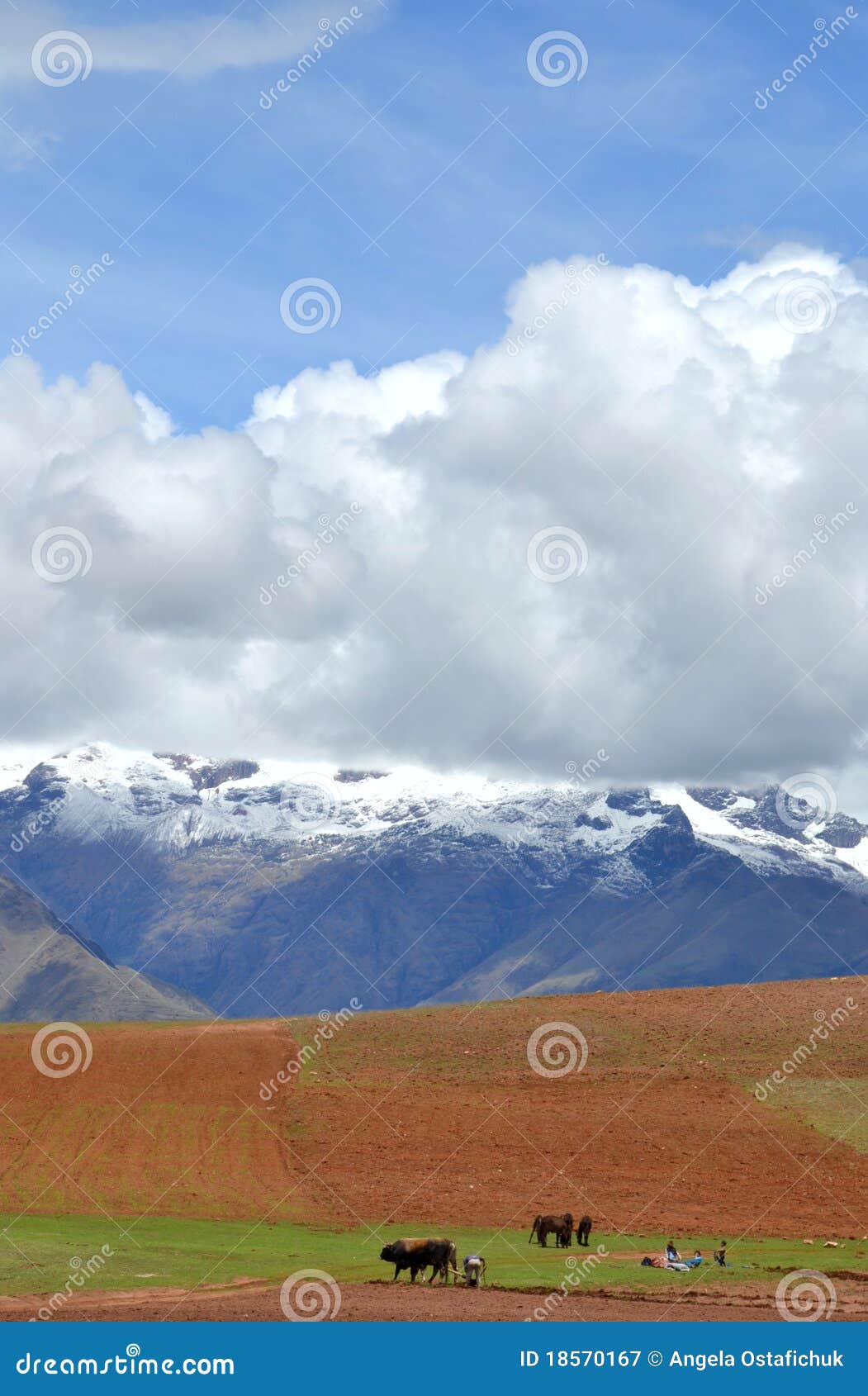Peruvian Farming editorial photography. Image of andes - 18570167