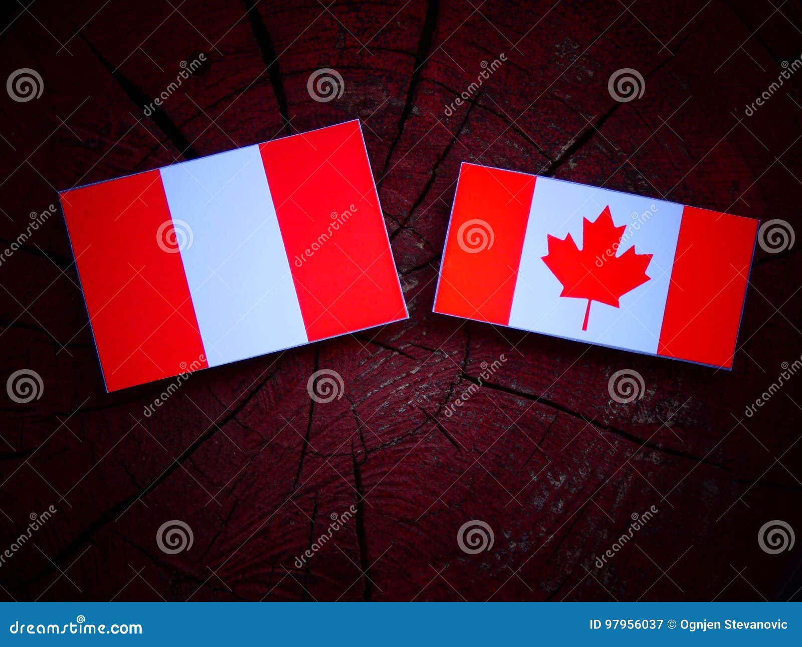 Peruvian Flag with Canadian Flag on a Tree Stump Isolated Stock Image ...