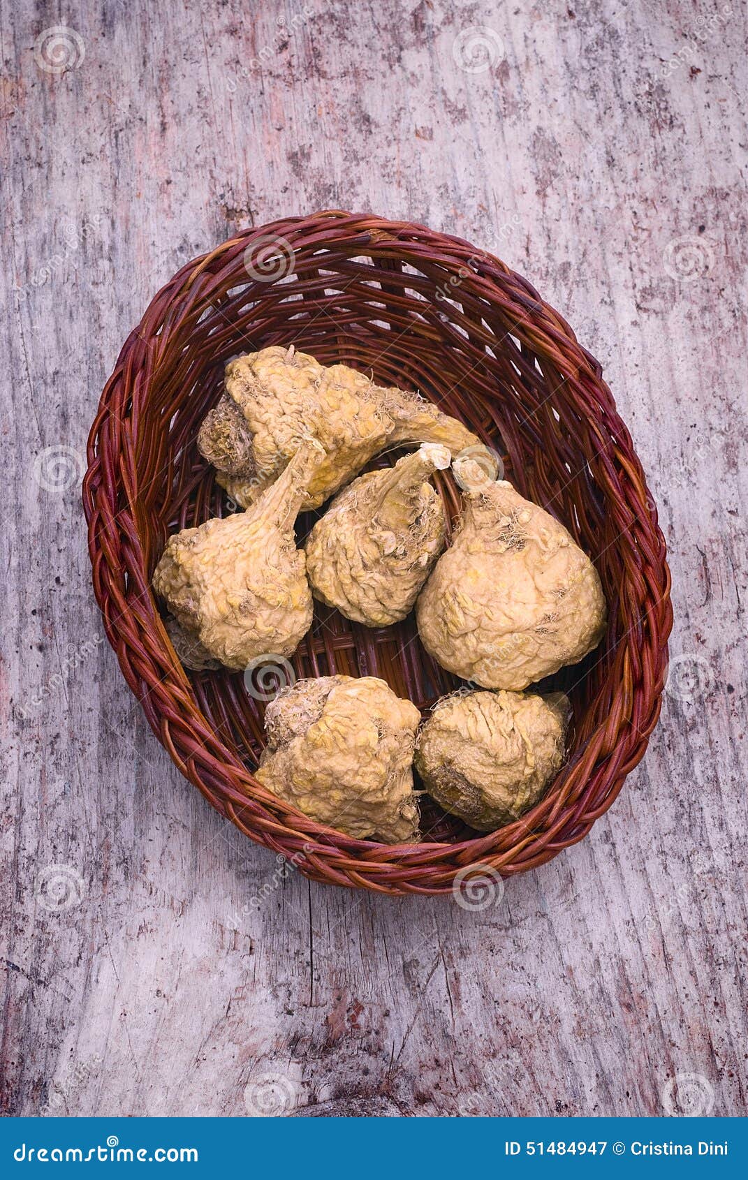 Peruvian Ginseng or Maca (Lepidium Meyenii) Stock Image - Image of ...