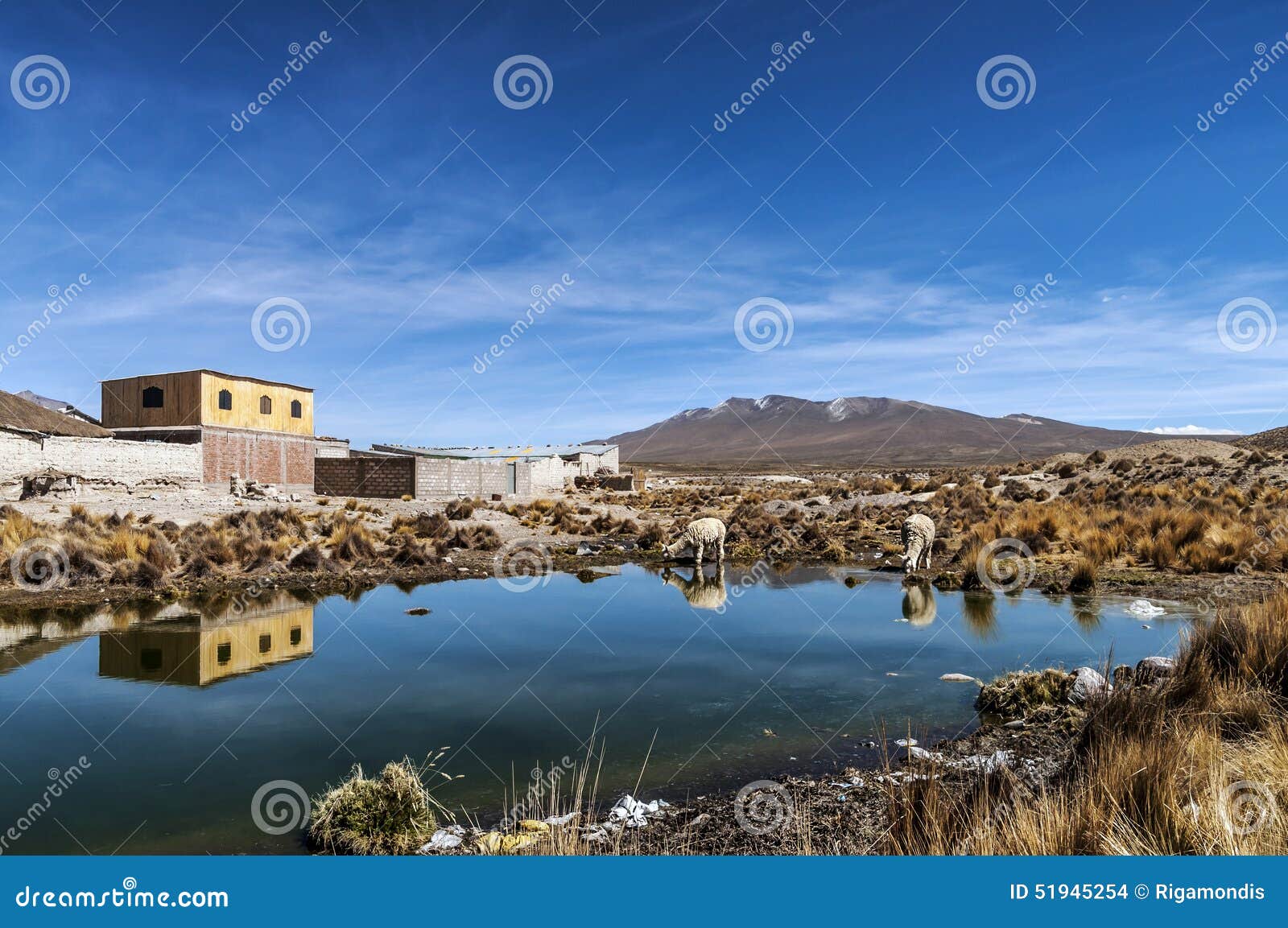 Peruvian Highland Lake. Arequipa, Peru Stock Photo - Image of heaps ...