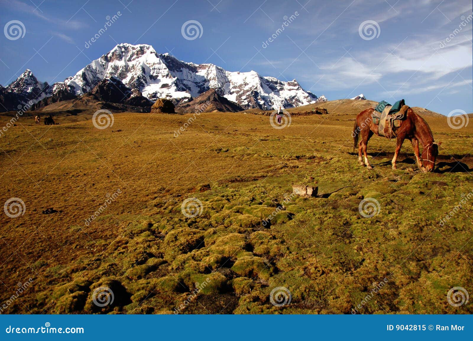Peruvian Landscape stock image. Image of mountain, travel - 9042815
