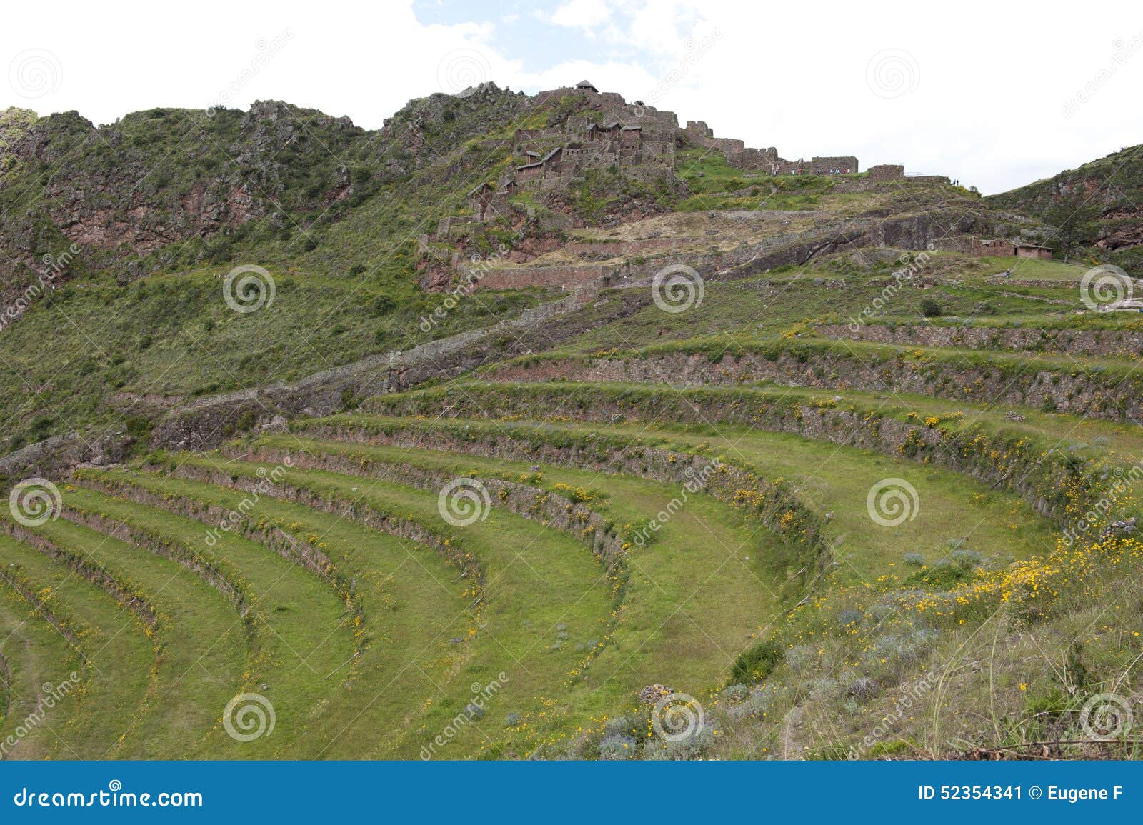 Peruvian Landscape stock image. Image of farming, harvest - 52354341