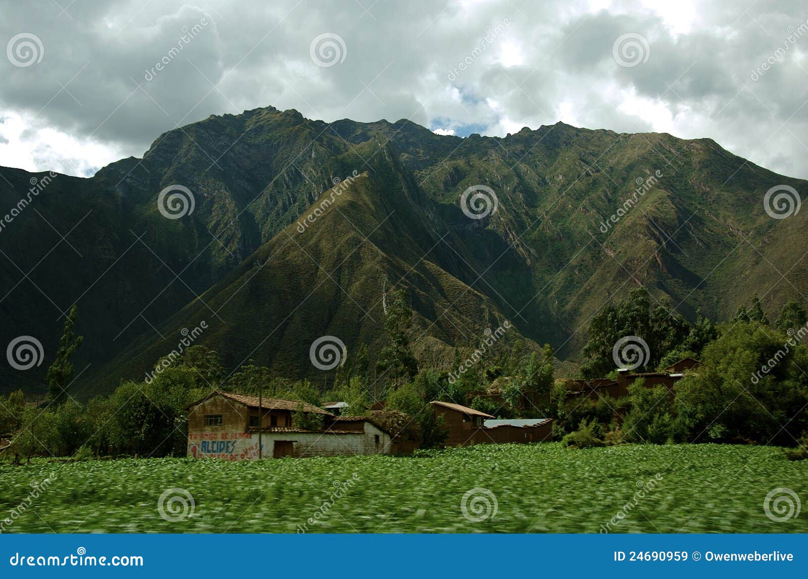 Peruvian Maize Field stock image. Image of maize, tourism - 24690959