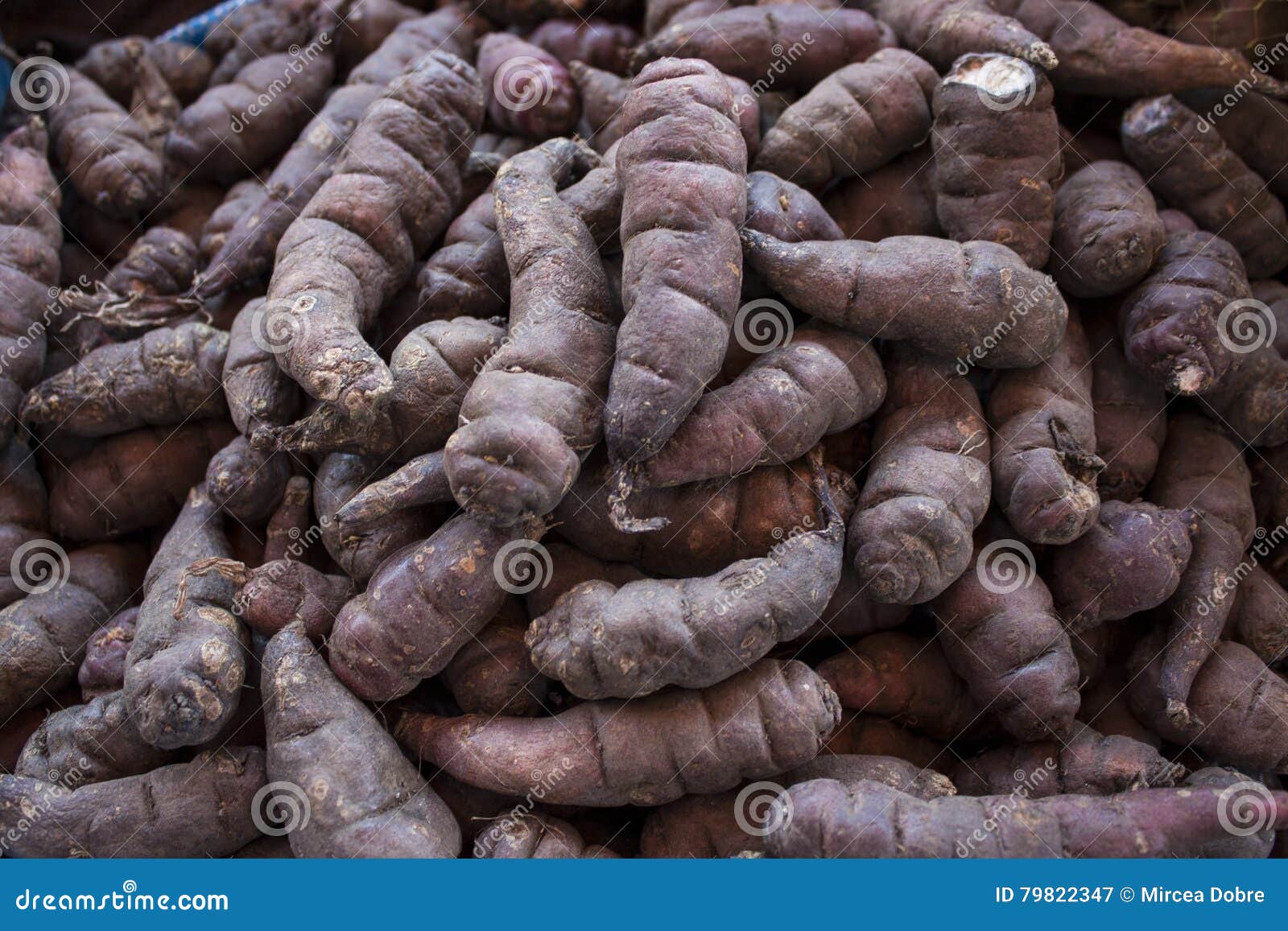 Peruvian Native Potatoes On A Market In Arequipa, Peru Royalty-Free ...