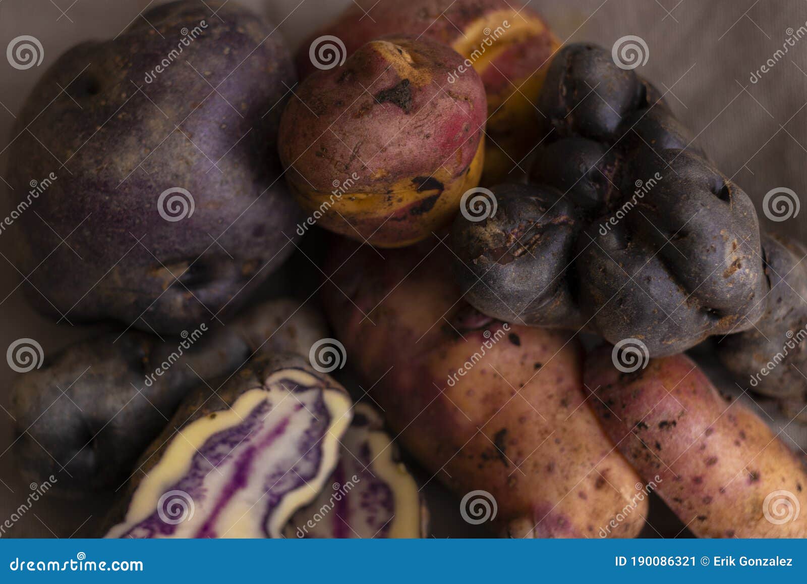 Peruvian Native Potatoes, Harvested in Cusco Stock Image - Image of ...