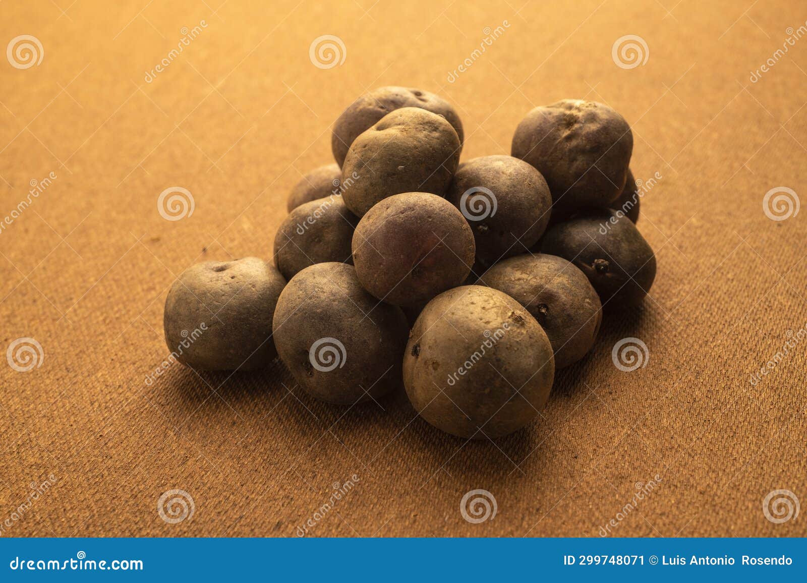 Peruvian Potato-Solanum Tuberosum, Name VIUDA Background Stock Image ...