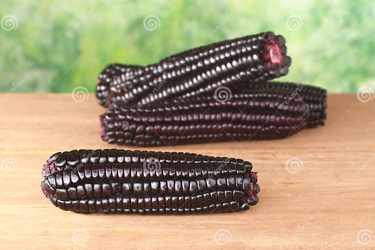 Peruvian Purple Corn stock photo. Image of focus, peru - 19560352