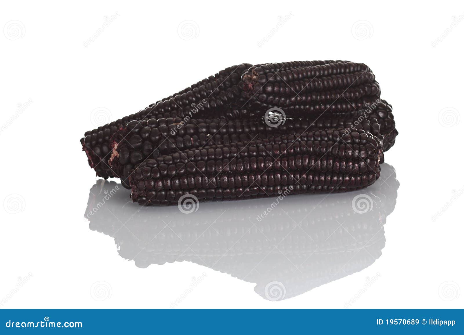Peruvian Purple Corn stock image. Image of crop, unique - 19570689