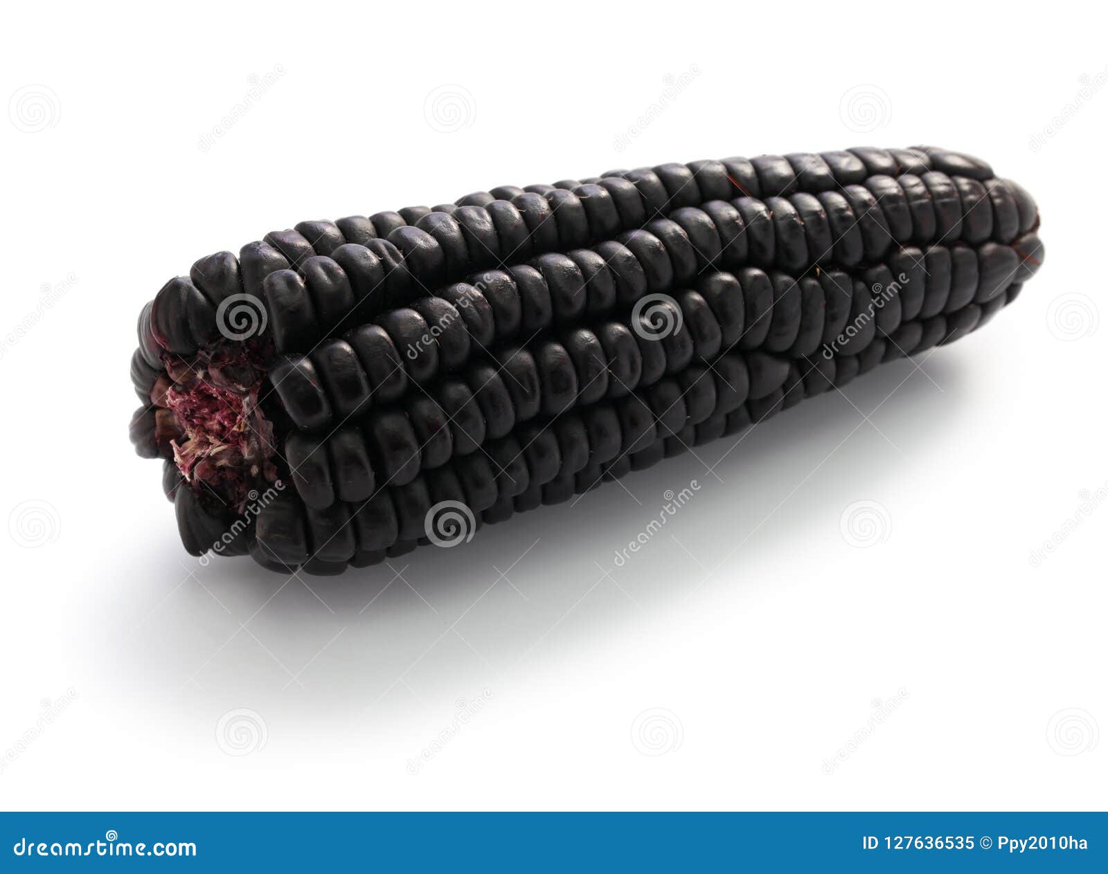 Peruvian purple corn stock image. Image of peruvian - 127636535