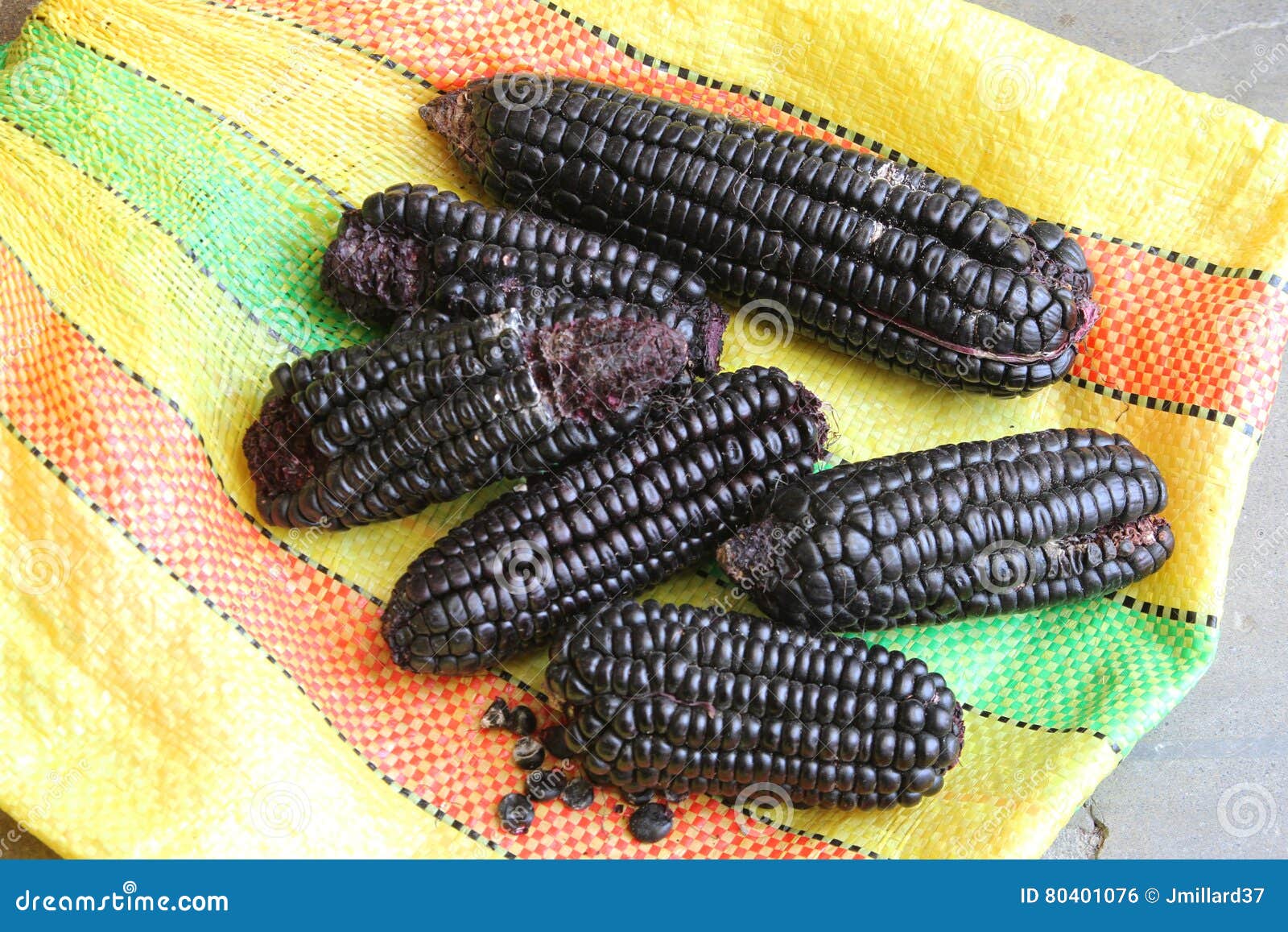Peruvian Purple Corn Cobs stock photo. Image of corncob - 80401076