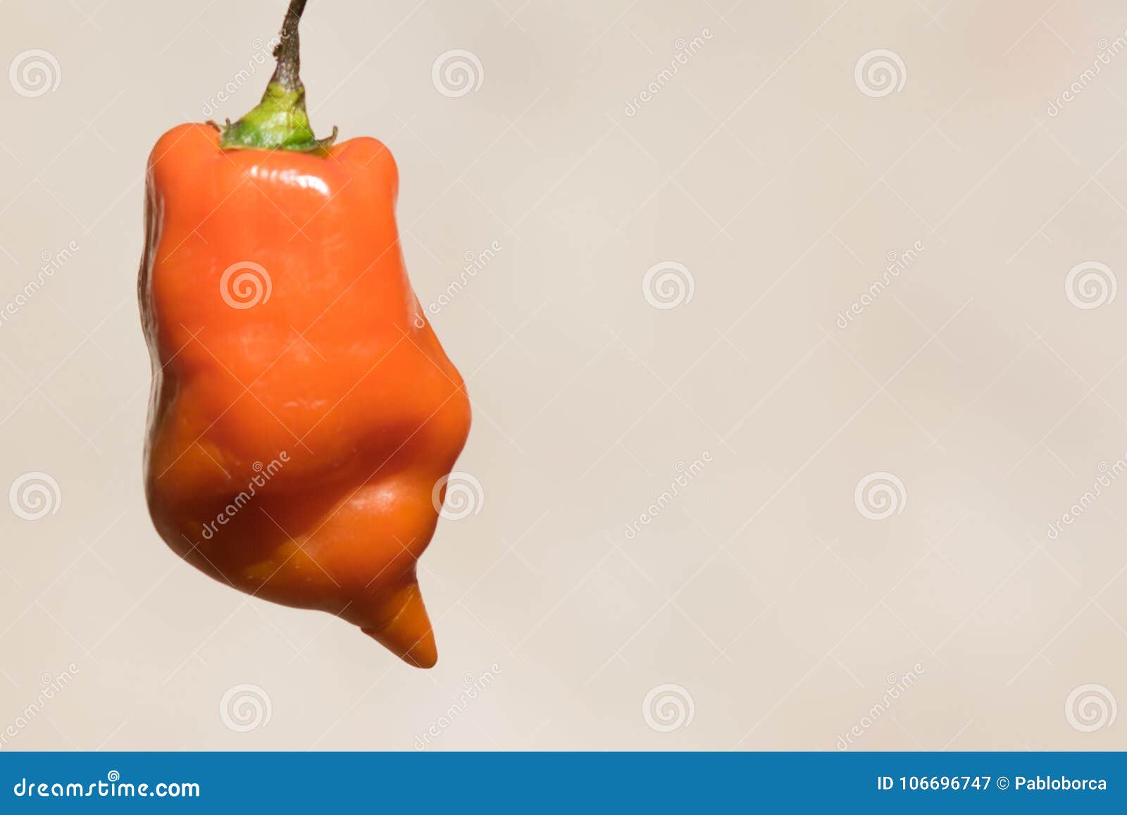Peruvian red pepper stock image. Image of food, peruvian - 106696747