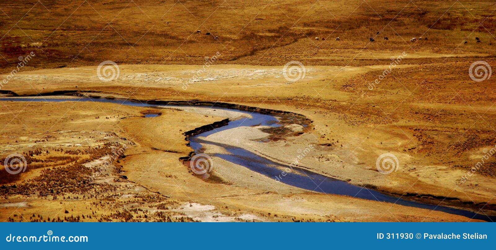 Peruvian River stock photo. Image of land, peru, stream - 311930