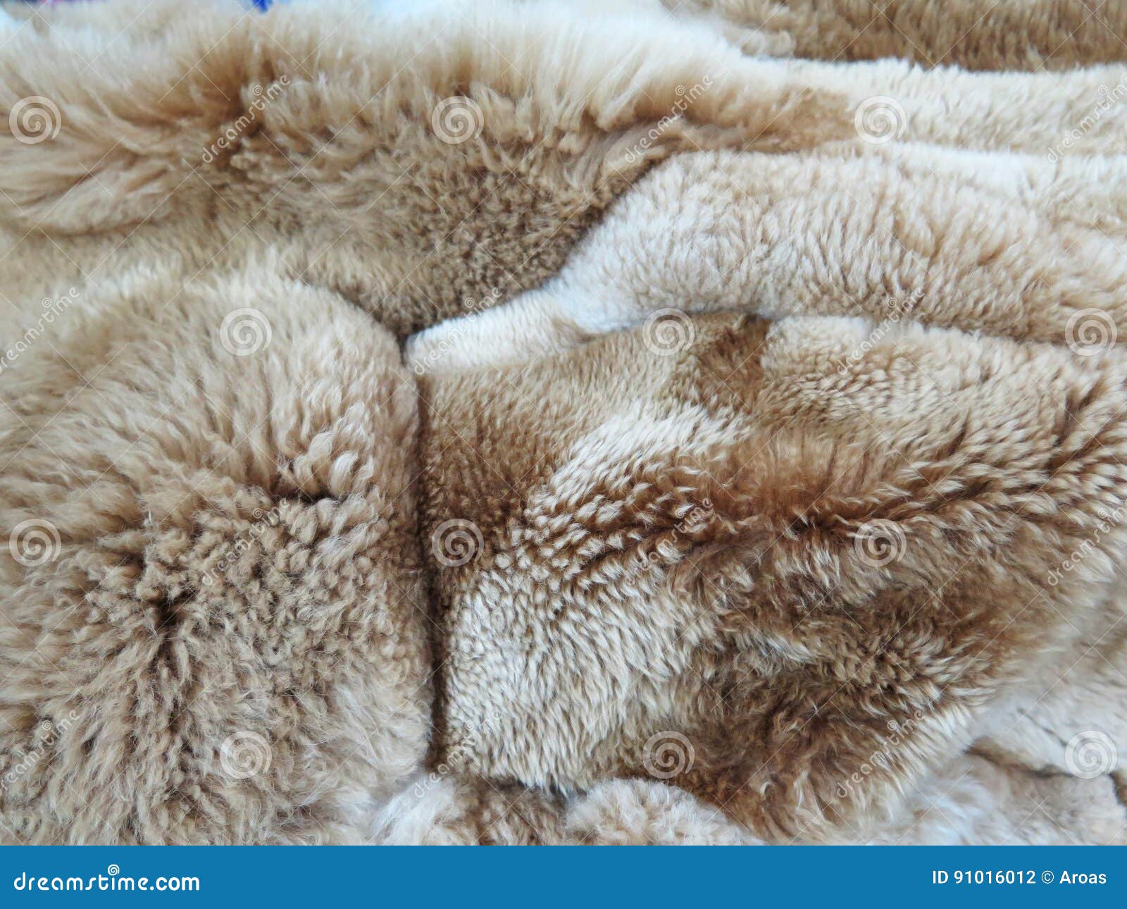 Peruvian Vicuna Woolen Fabric Stock Photo - Image of handmade ...