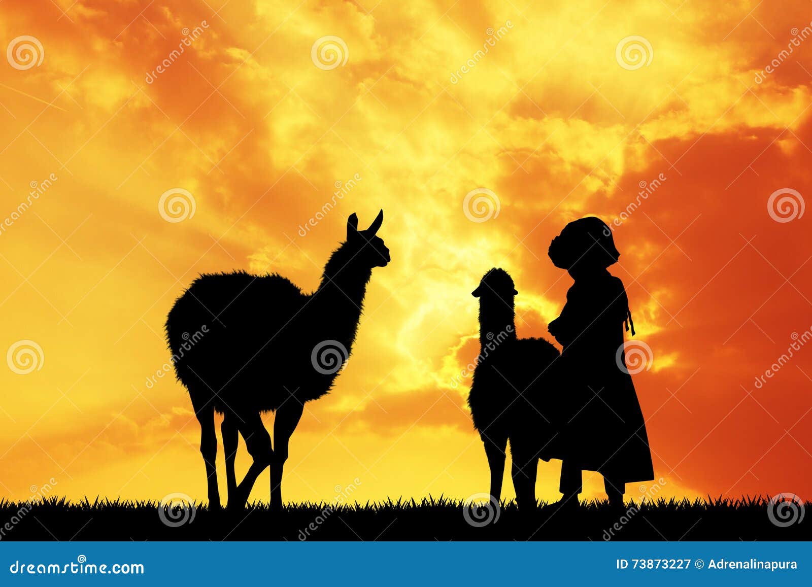 Peruvian Woman Design Vector Illustration | CartoonDealer.com #298672558