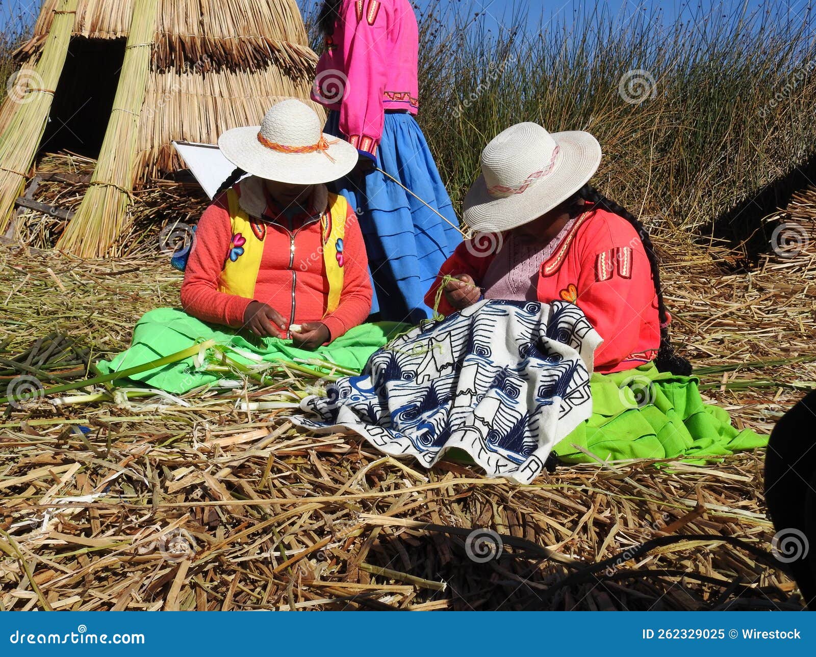 Peruvian Women in Labor Work Stock Image - Image of girl, smile: 262329025