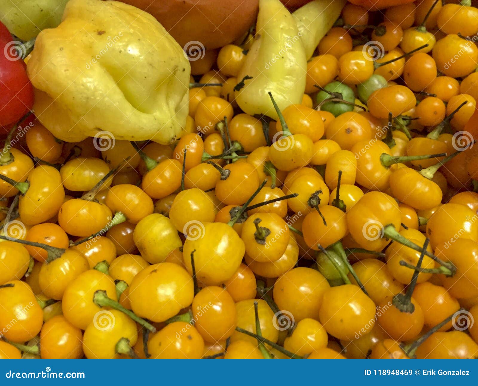Peruvian yellow pepper stock image. Image of vegetable - 118948469
