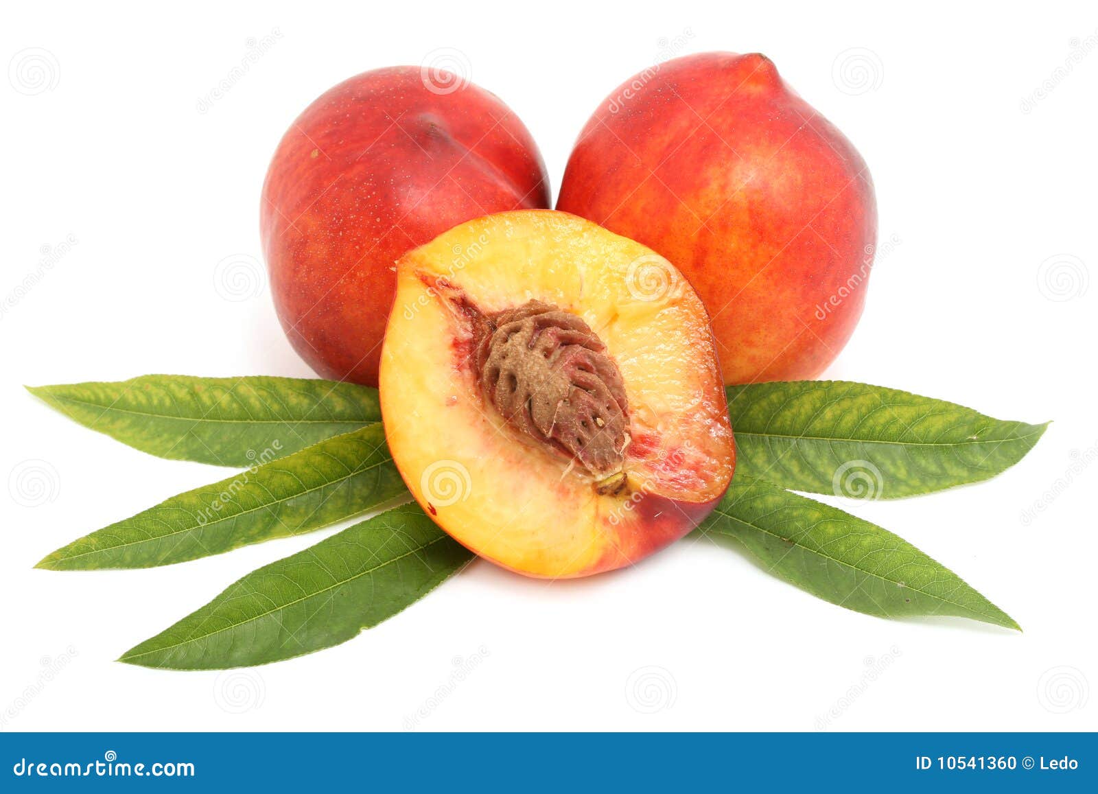 Perzik stock foto. Image of perziken, gezond, blad, doorbladert - 10541360