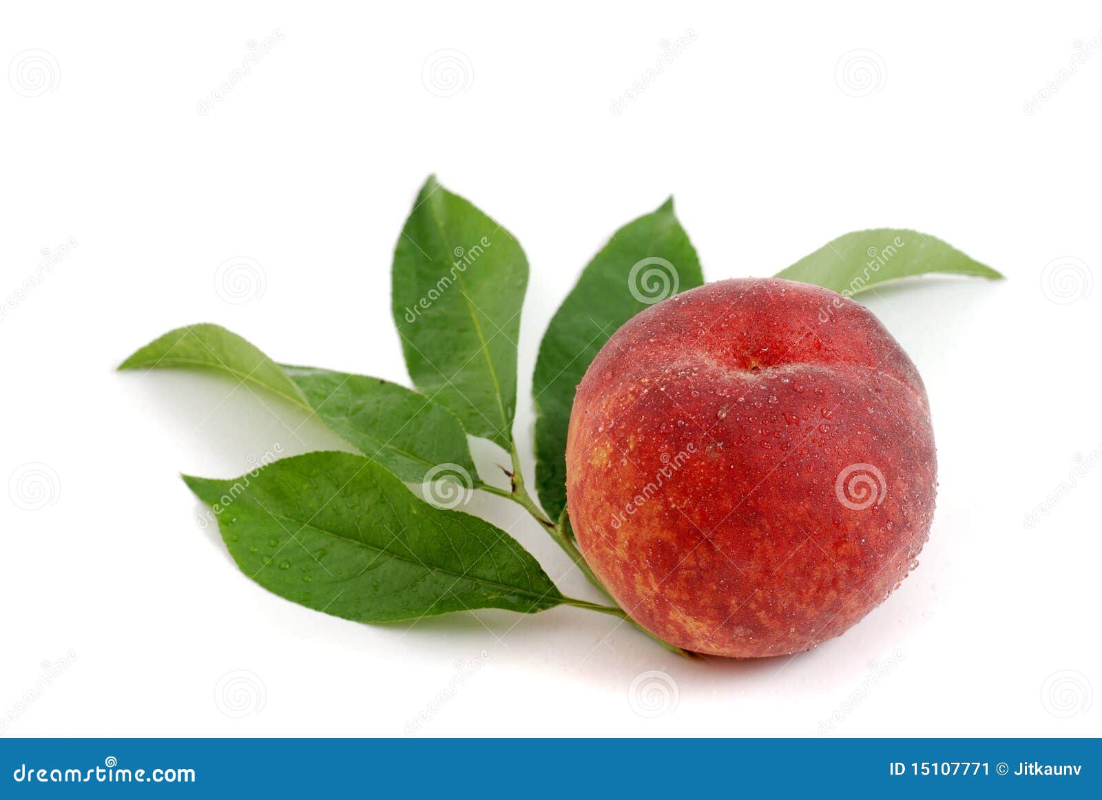 Perzik stock afbeelding. Image of blad, perzik, vrucht - 15107771