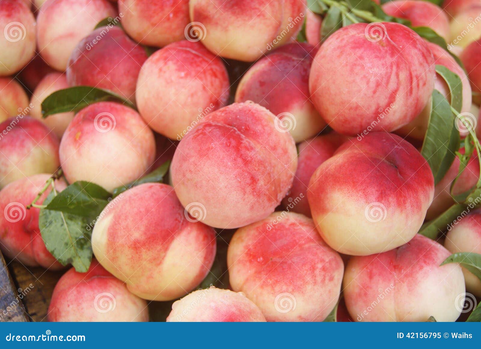 Perzik stock afbeelding. Image of vrucht, vers, perzik - 42156795