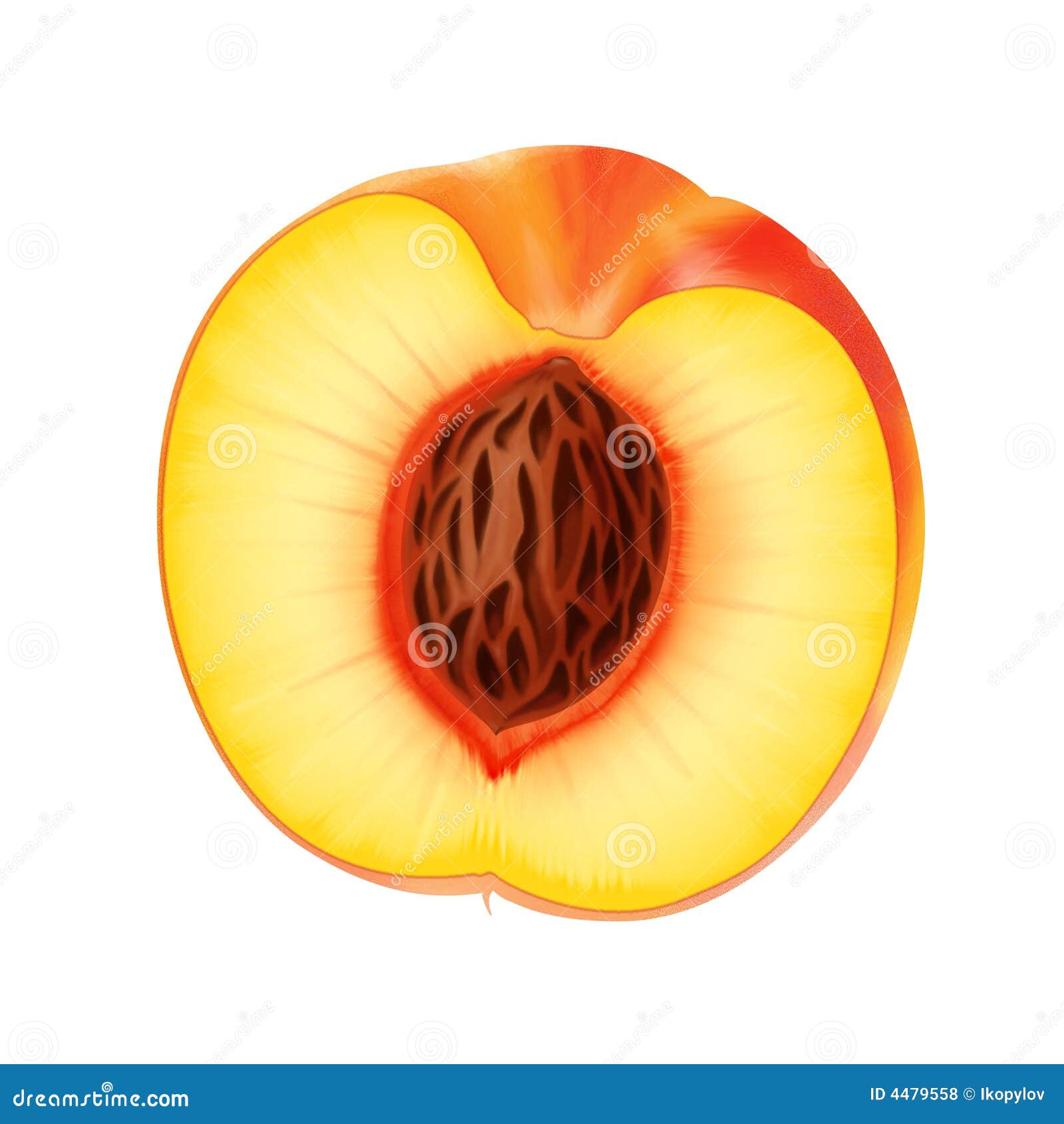 Perzik stock illustratie. Illustration of gezond, vrucht - 4479558