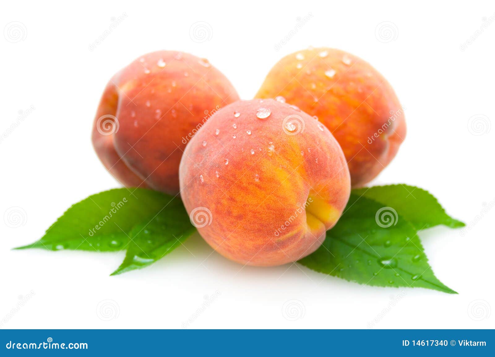 Perziken stock foto. Image of vers, nagerecht, rijp, water - 14617340