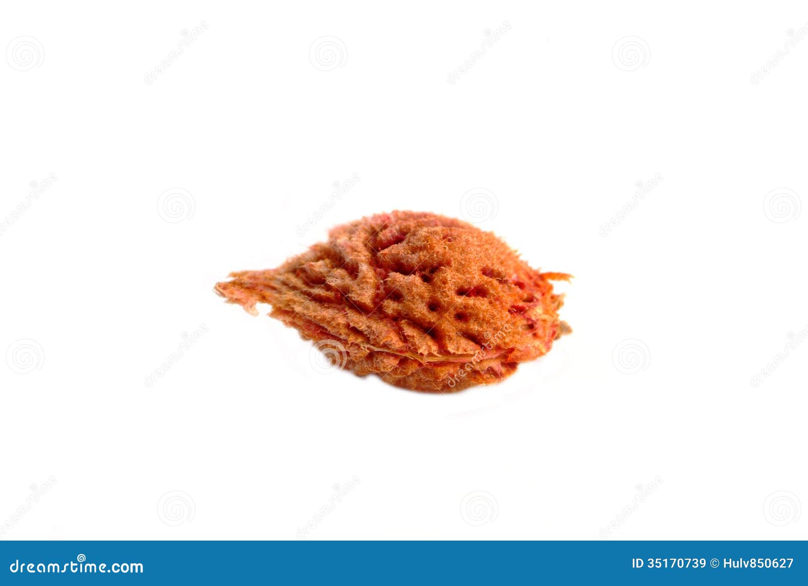 Perzikpit stock afbeelding. Image of rood, knipsel, sappig - 35170739