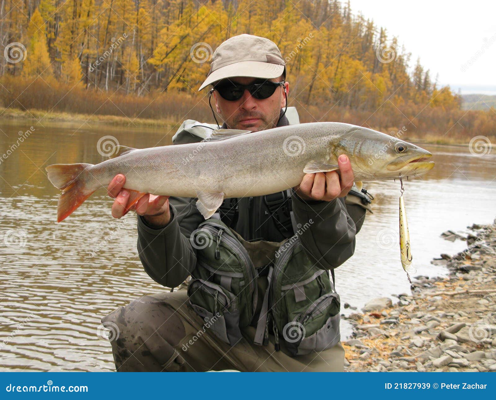 Pesca imagen de archivo. Imagen de enganche, enredo, deporte - 21827939