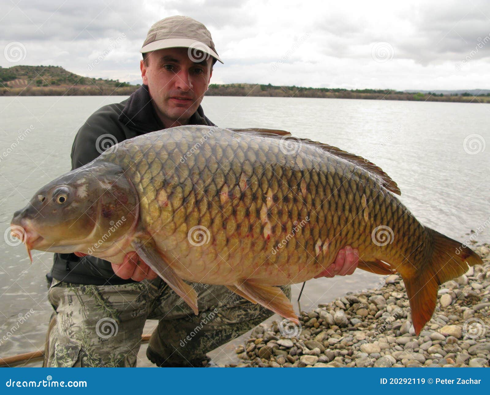 Pesca de la carpa imagen de archivo. Imagen de hilo, deporte - 20292119