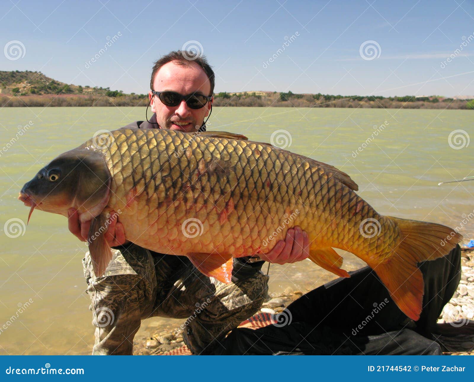 Pesca de la carpa foto de archivo. Imagen de exterior - 21744542