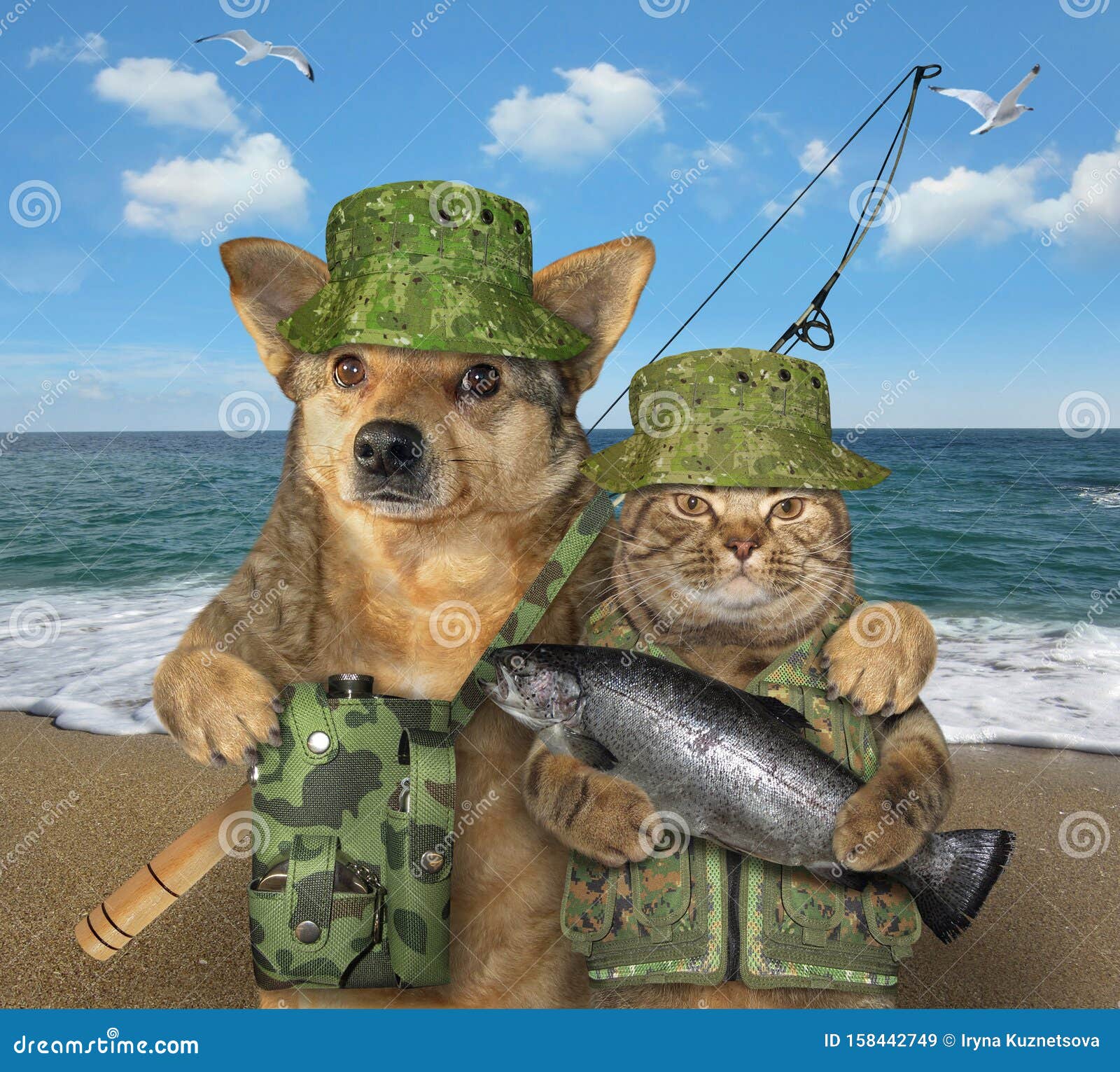 Pesca de perros y gatos imagen de archivo. Imagen de costa - 158442749