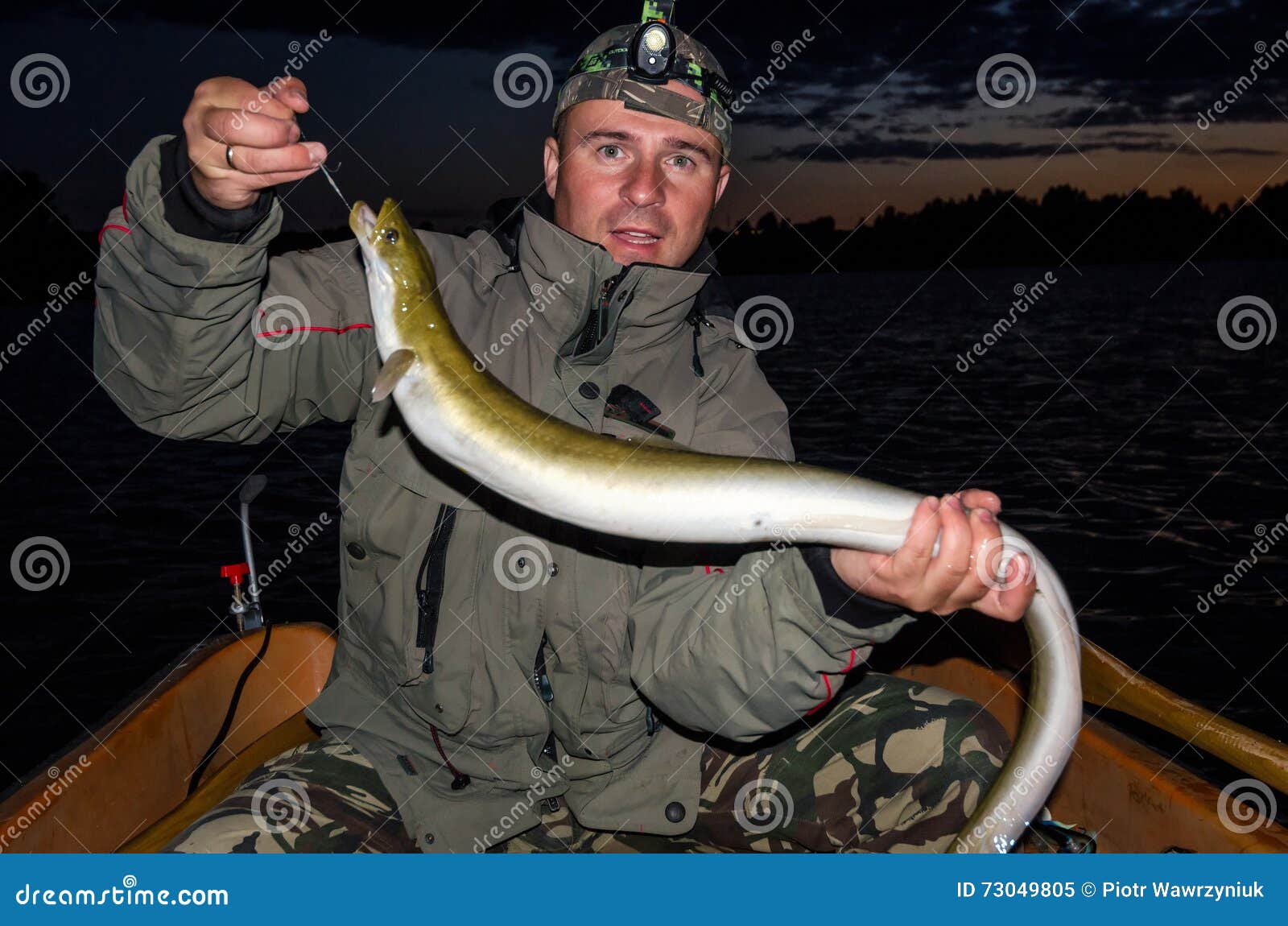 Pesca Dell'anguilla Di Estate Immagine Stock - Immagine di marrone ...