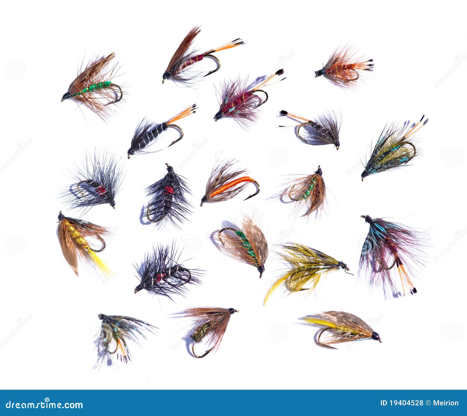 Pesca delle mosche fotografia stock. Immagine di torace - 19404528