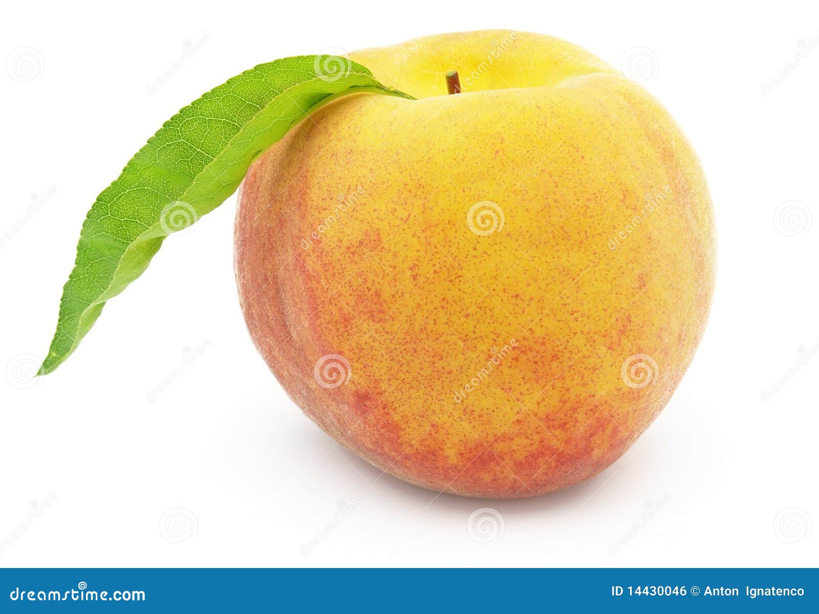 Pesca dolce fotografia stock. Immagine di estate, foglio - 14430046