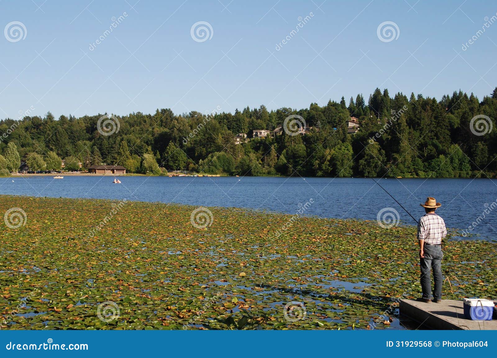 Pesca en el lago foto de archivo. Imagen de parque, belleza - 31929568