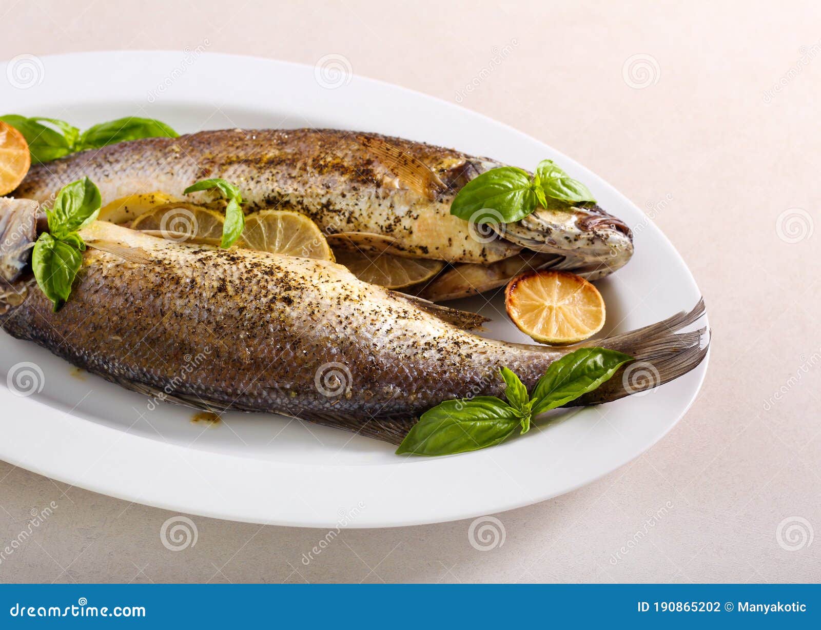 Pescado de robalo foto de stock. Imagem de marisco, citrino - 190865202