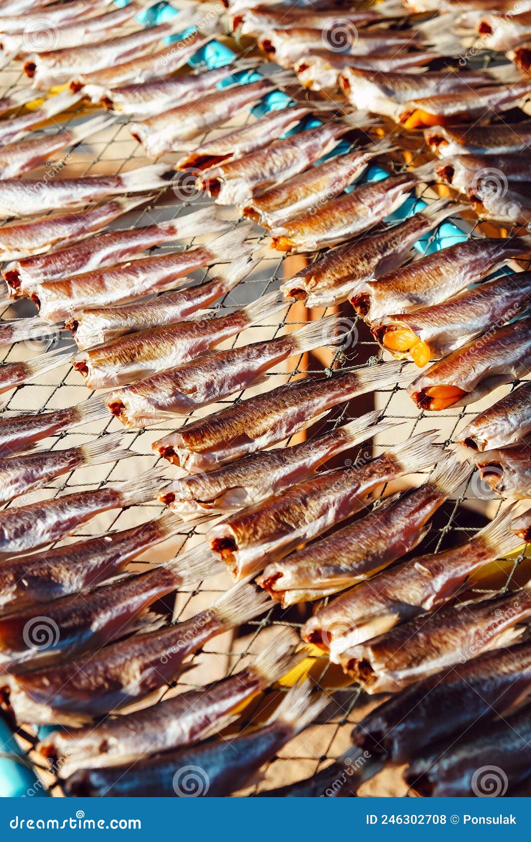 Pescado seco casero foto de archivo. Imagen de delicadeza - 246302708