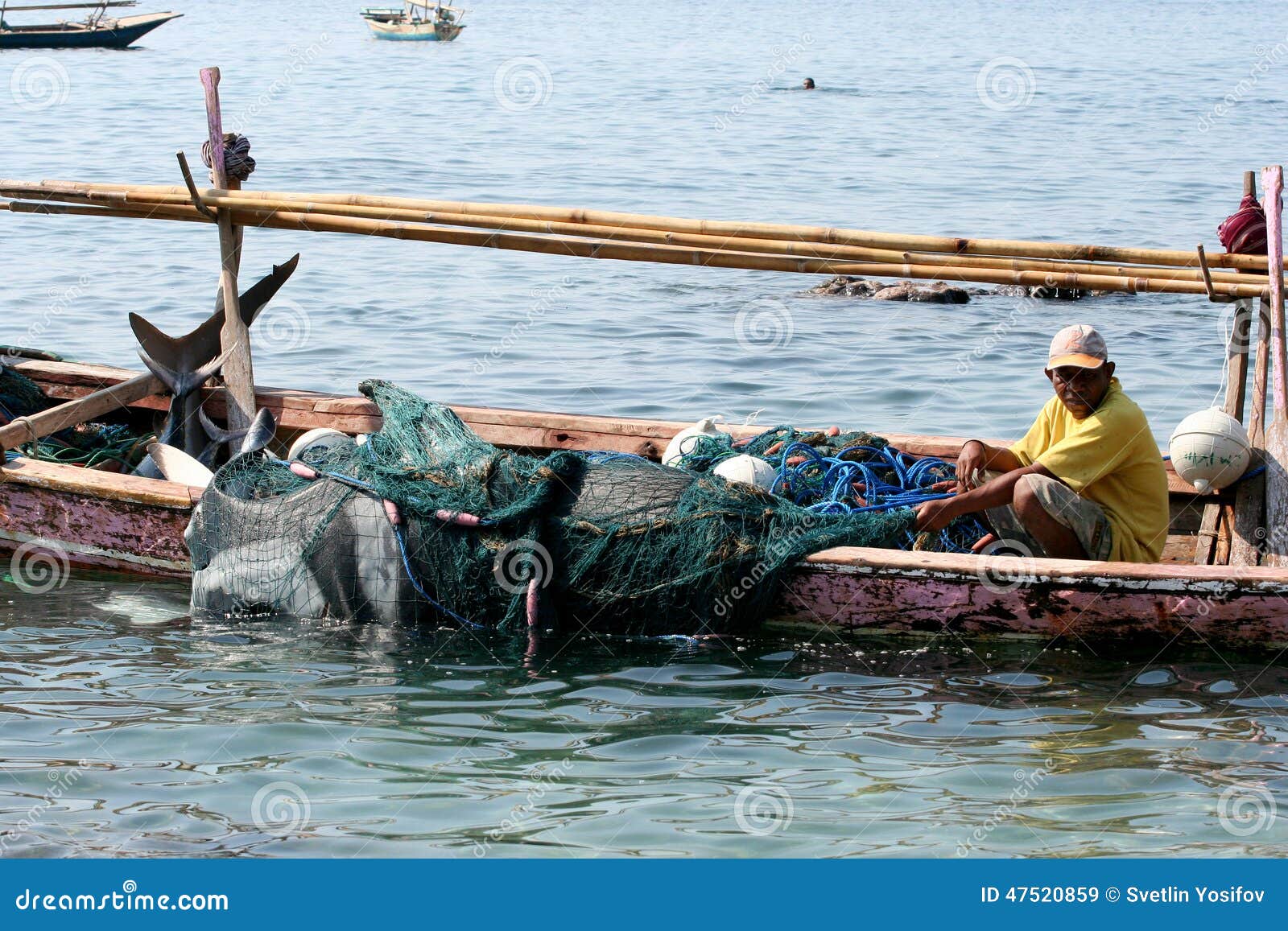 Pescador (Lamalera, Indonesia) Imagen de archivo editorial - Imagen de ...