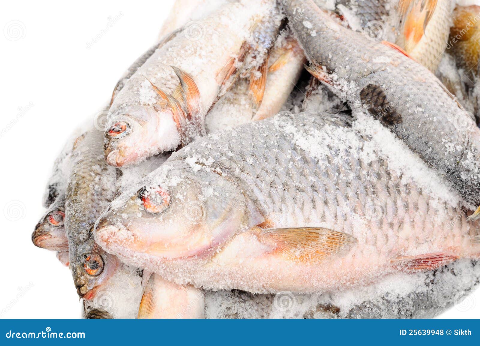 Pescados congelados foto de archivo. Imagen de pesca - 25639948