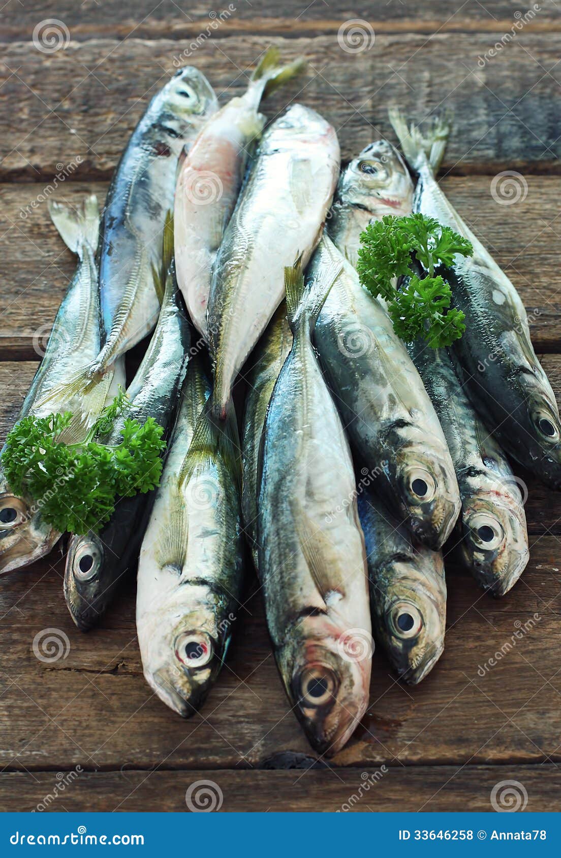 Pescados crudos (scad) foto de archivo. Imagen de mariscos - 33646258