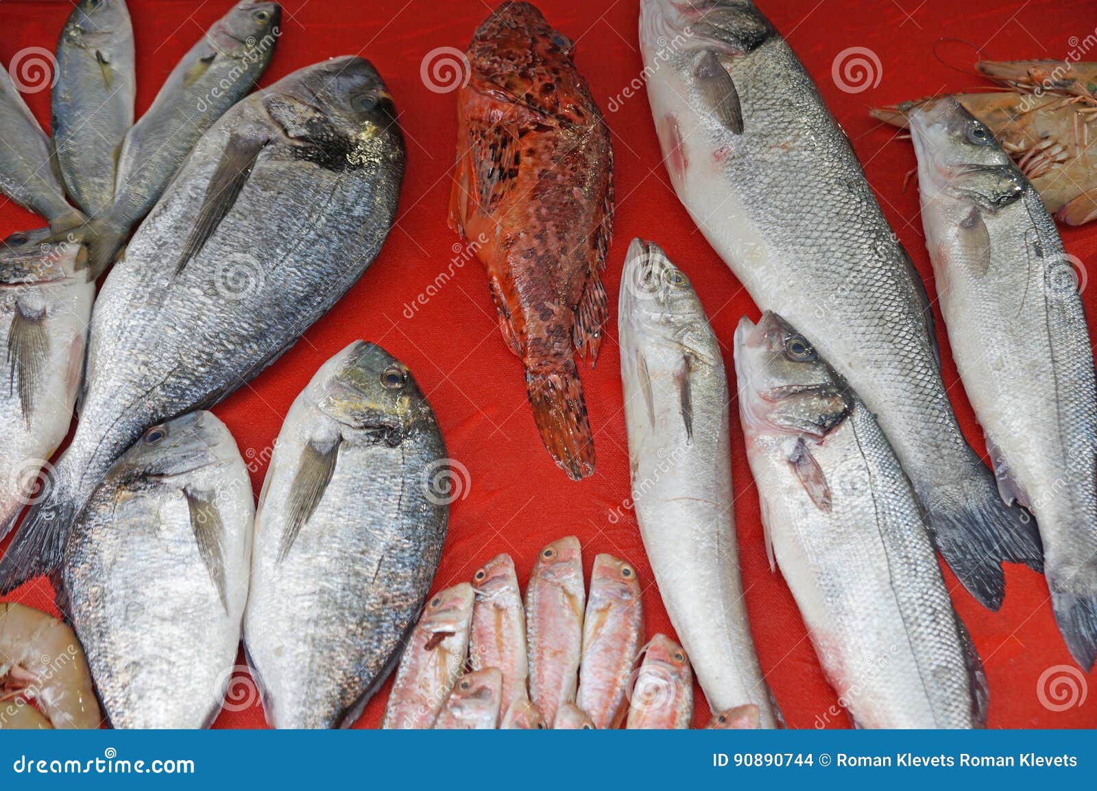 Pescados de mar foto de archivo. Imagen de cogido, caballa - 90890744