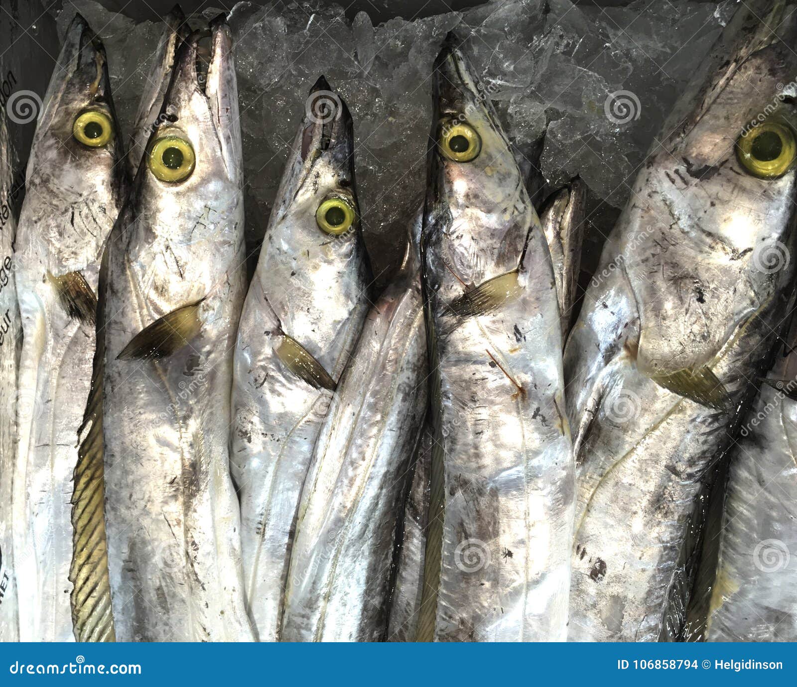 Pescados del machete foto de archivo. Imagen de ingrediente - 106858794