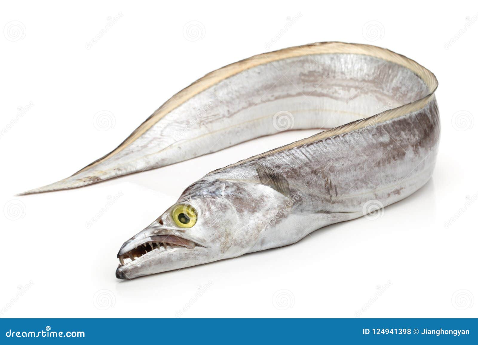 Pescados del machete foto de archivo. Imagen de aleta - 124941398