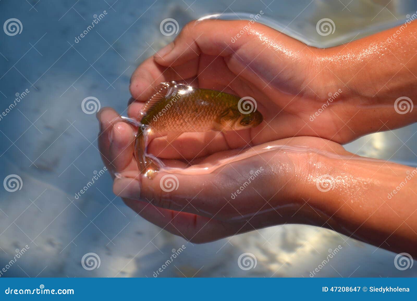 Pescados en sus manos imagen de archivo. Imagen de colorido - 47208647