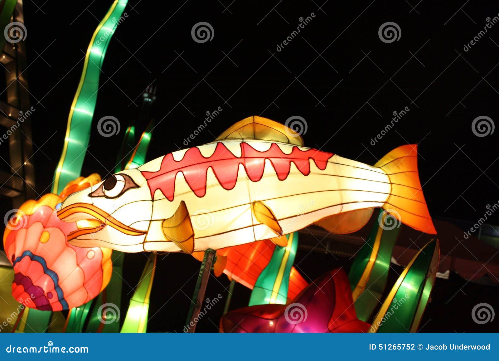 Pesce Cinese D'ardore Della Lanterna Fotografia Stock - Immagine di ...