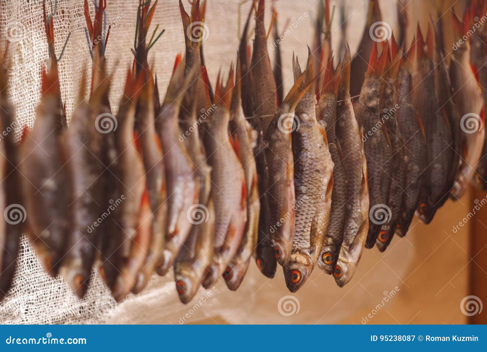 Pesce essiccato al sole immagine stock. Immagine di animale - 95238087