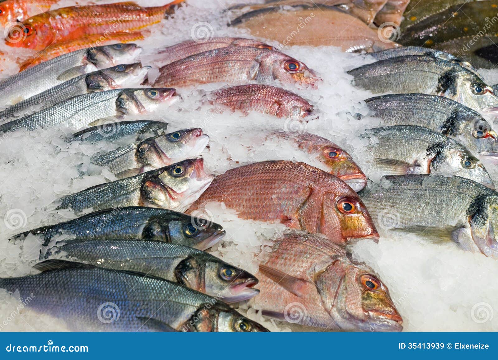 Pesce fresco al mercato immagine stock. Immagine di nave - 35413939