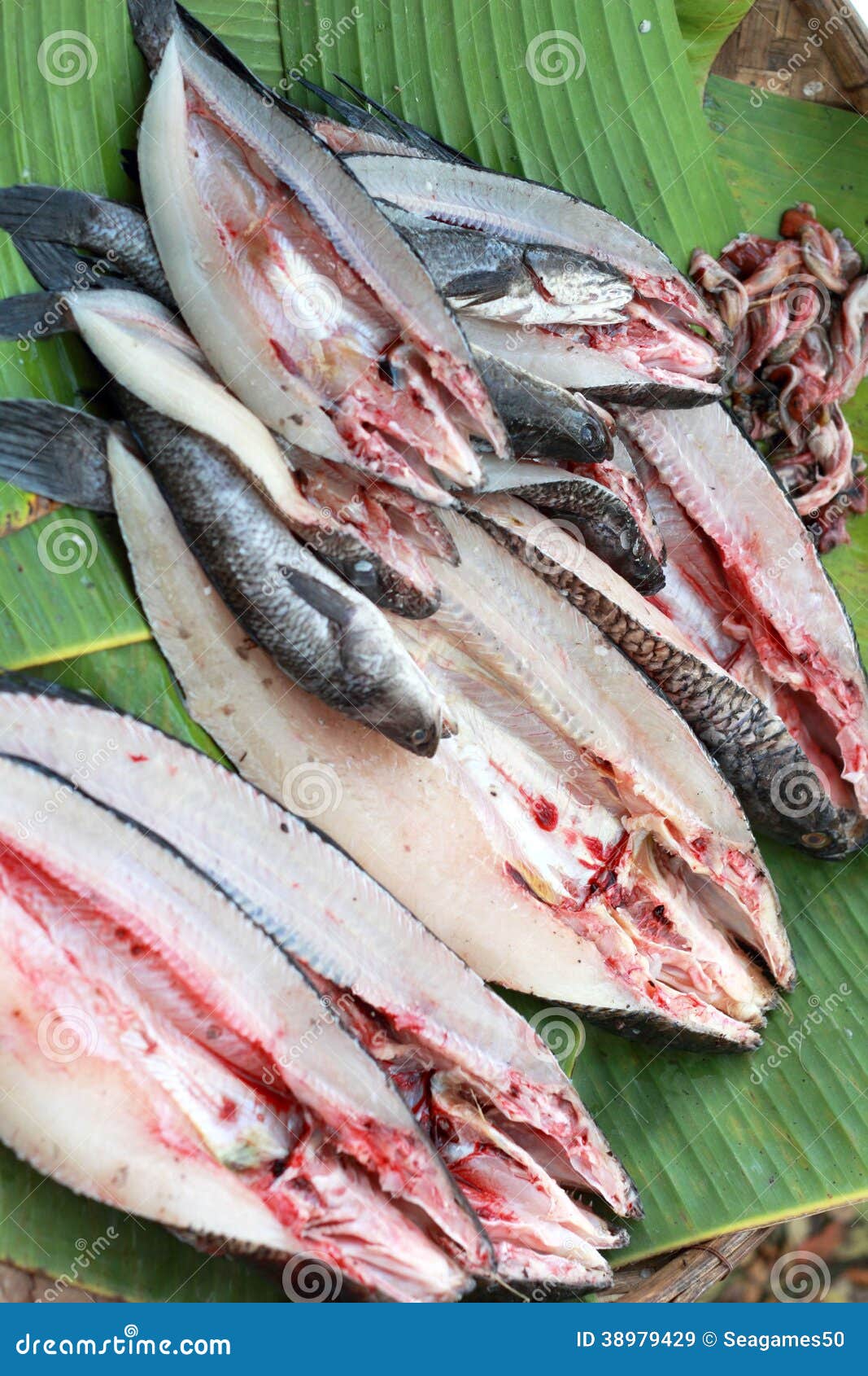 Pesce fresco al mercato immagine stock. Immagine di fresco - 38979429