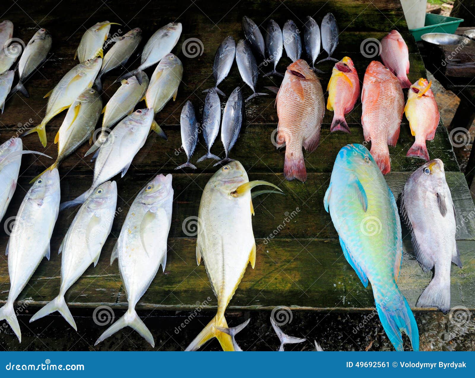 Pesce fresco al mercato immagine stock. Immagine di mercato - 49692561